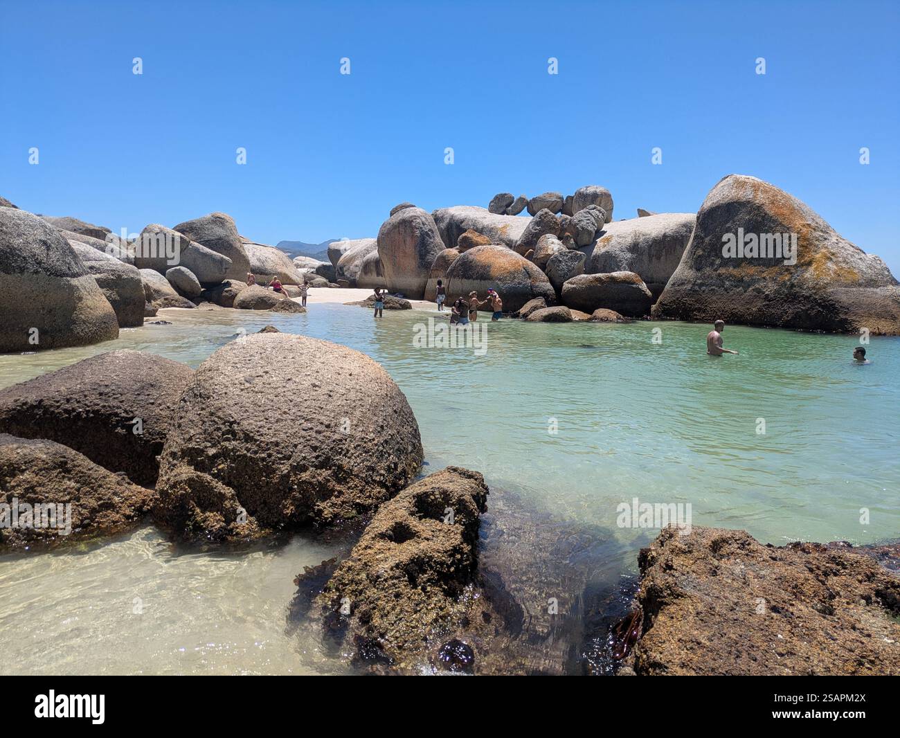 people swimming at Boulders Beach cape town Stock Photo - Alamy