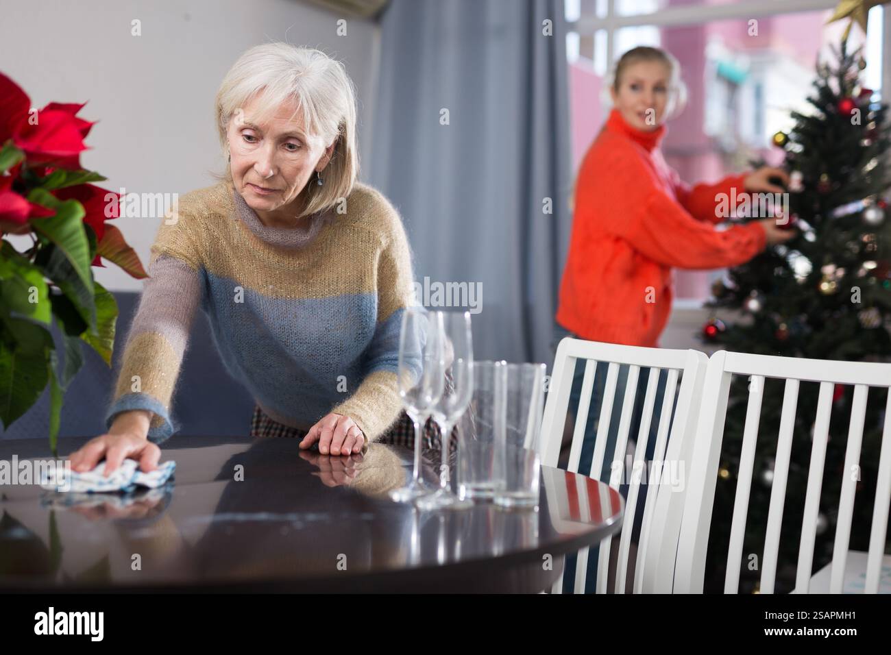 Mature woman cleaning furniture with cleanser and rag at living room before christmas Stock ...