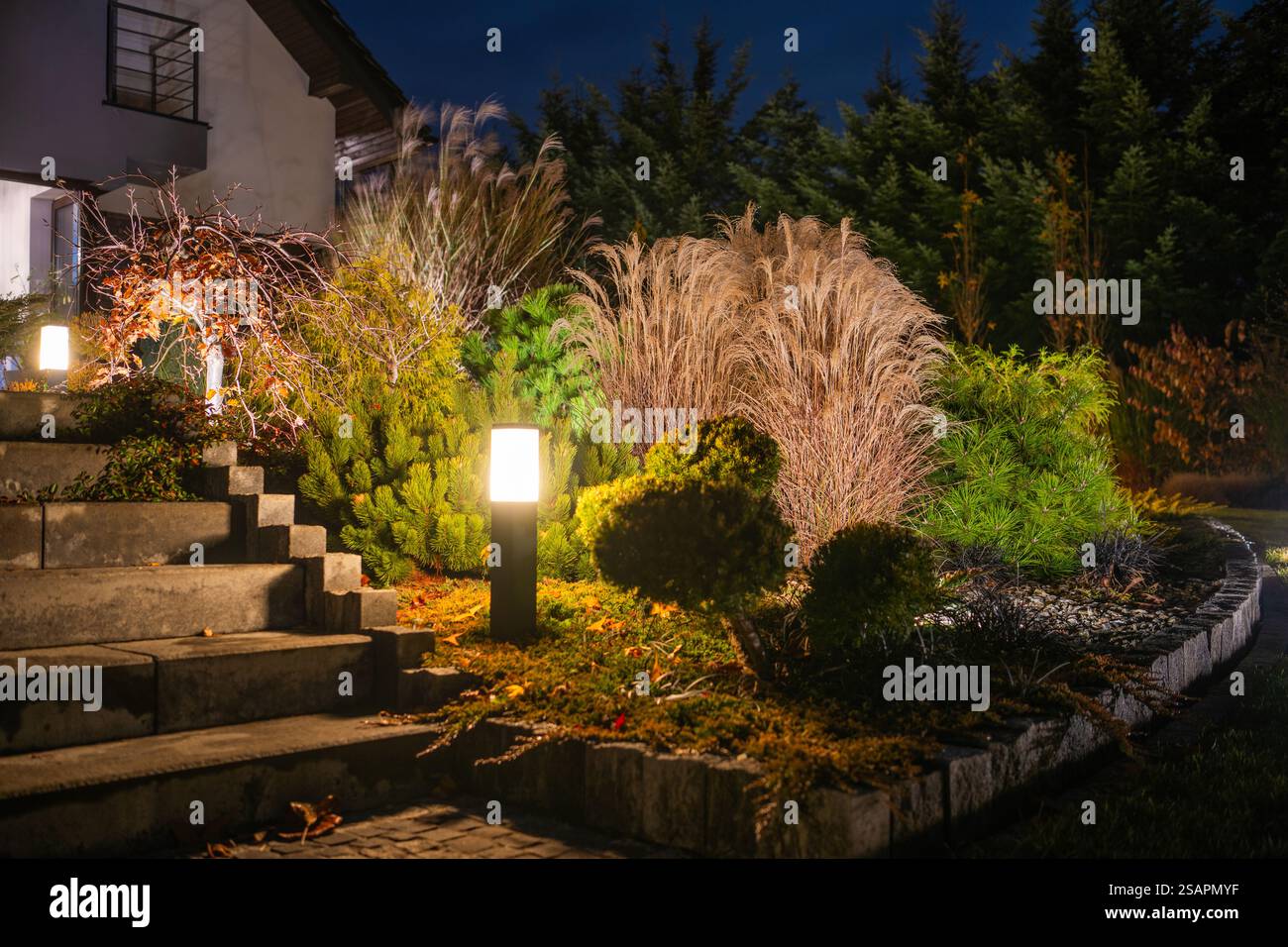 Lush plants and ornamental grasses glow under warm lights in a well ...