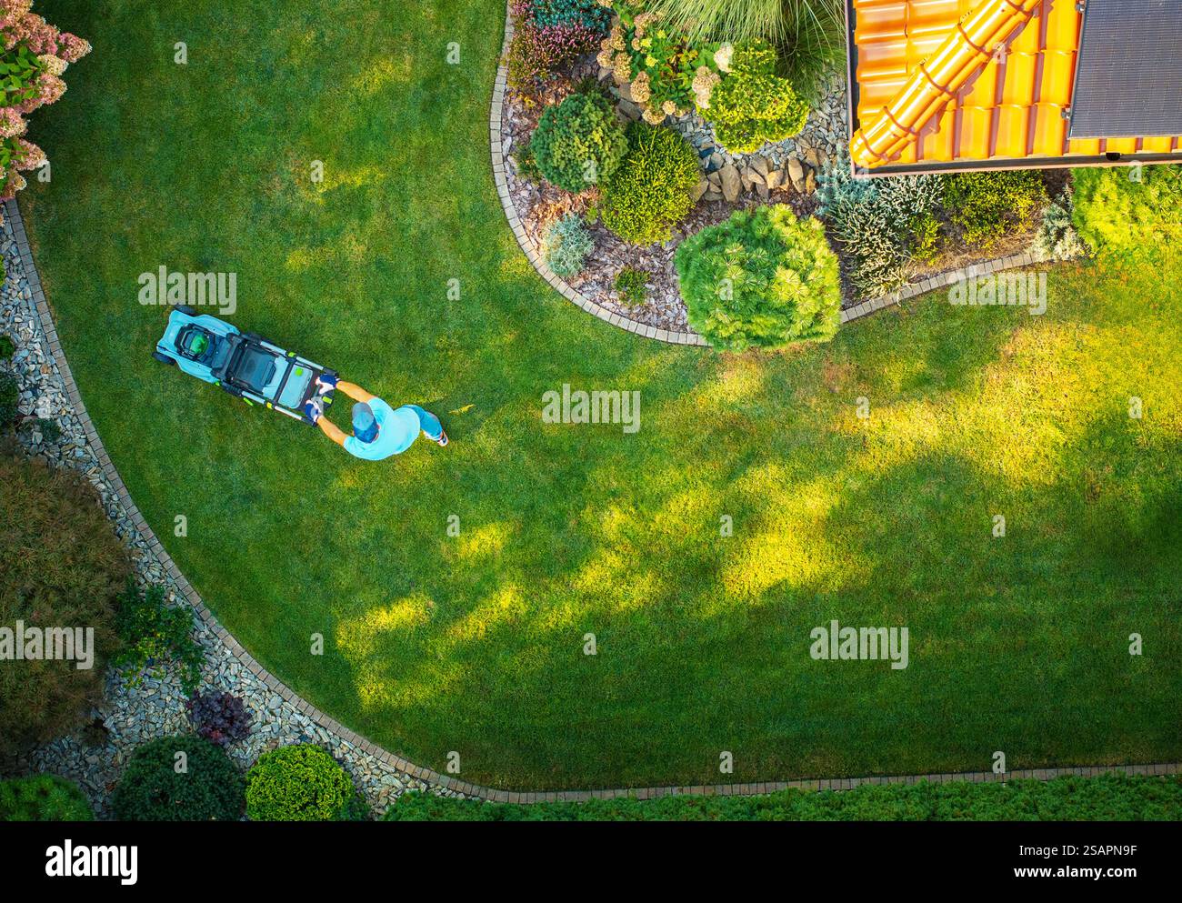 A man is mowing a vibrant green lawn, surrounded by manicured shrubs ...