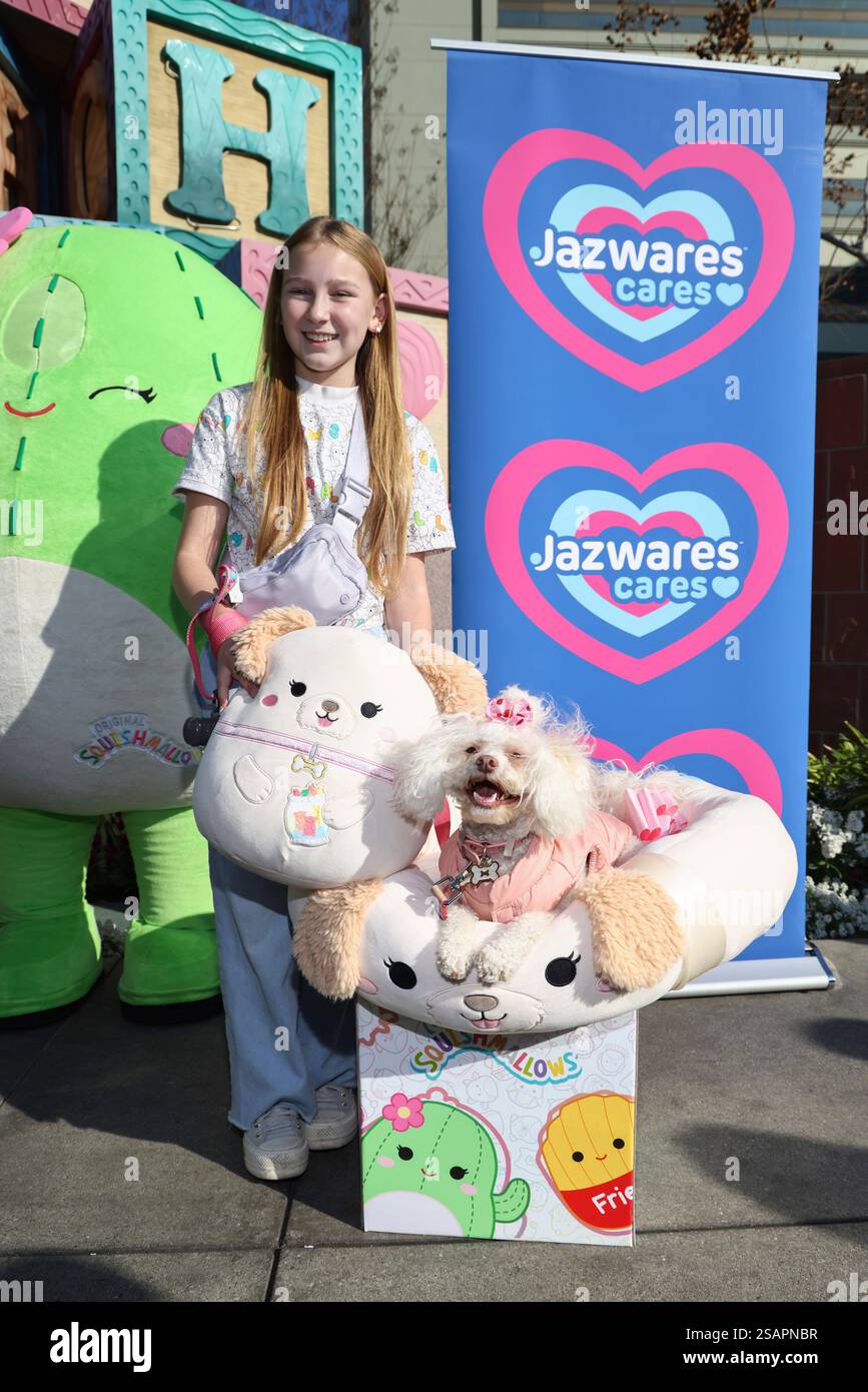 IMAGE DISTRIBUTED FOR JAZWARES - Make-A-Wish teamed up with Jazwares to ...