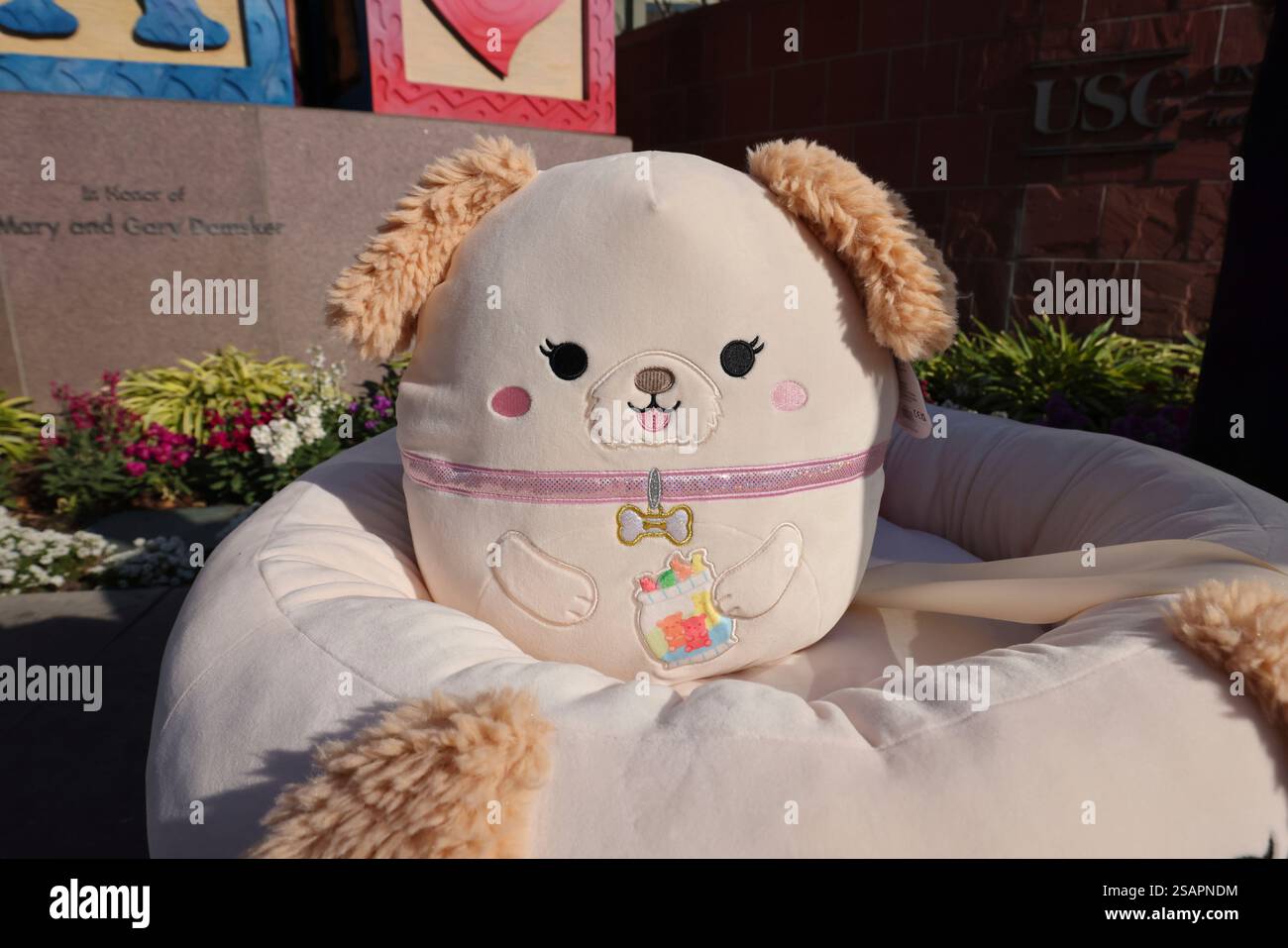 IMAGE DISTRIBUTED FOR JAZWARES - Liberty, the Squishmallows designed by ...