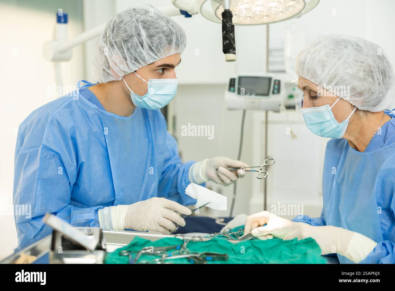 Young veterinarian with female assistant conducting surgical operation ...