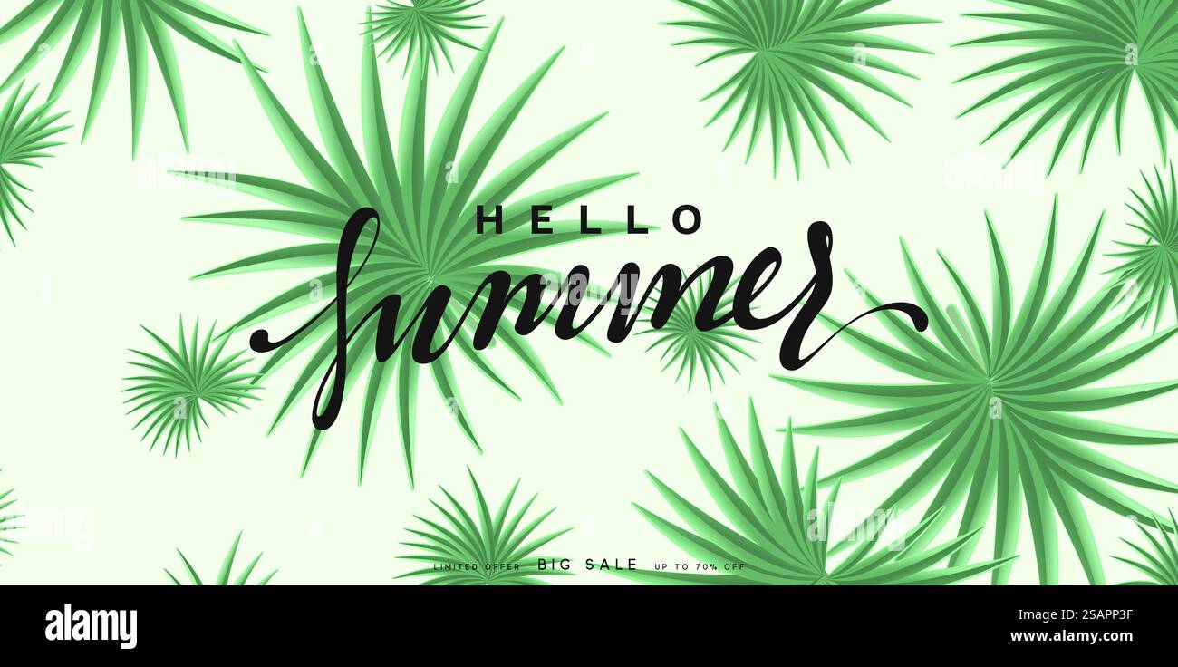 Hello Summer banner tropical background. Summer season, green leaves ...