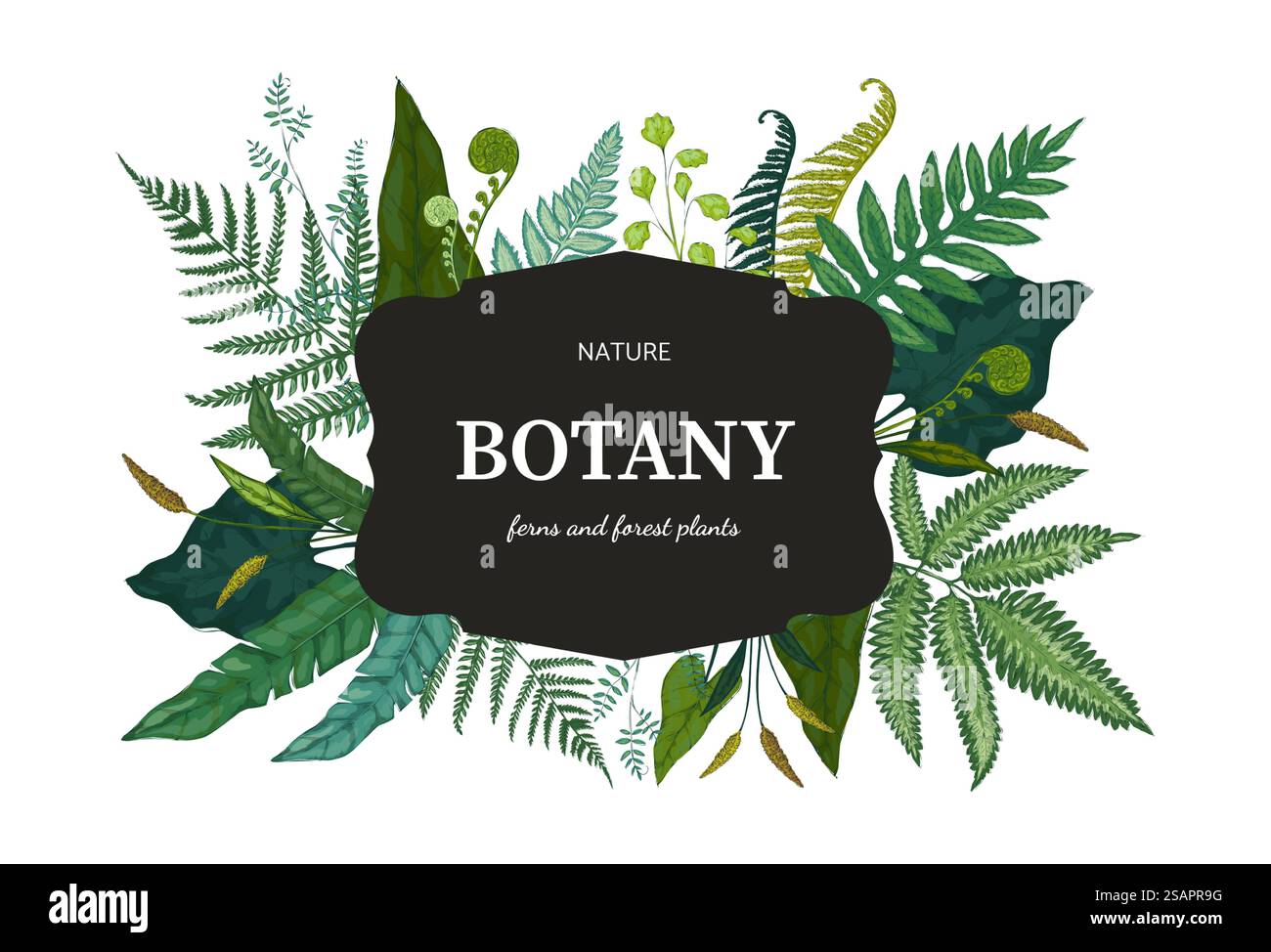 Botanical background. Hand drawn wallpaper with forest foliage. Green ...