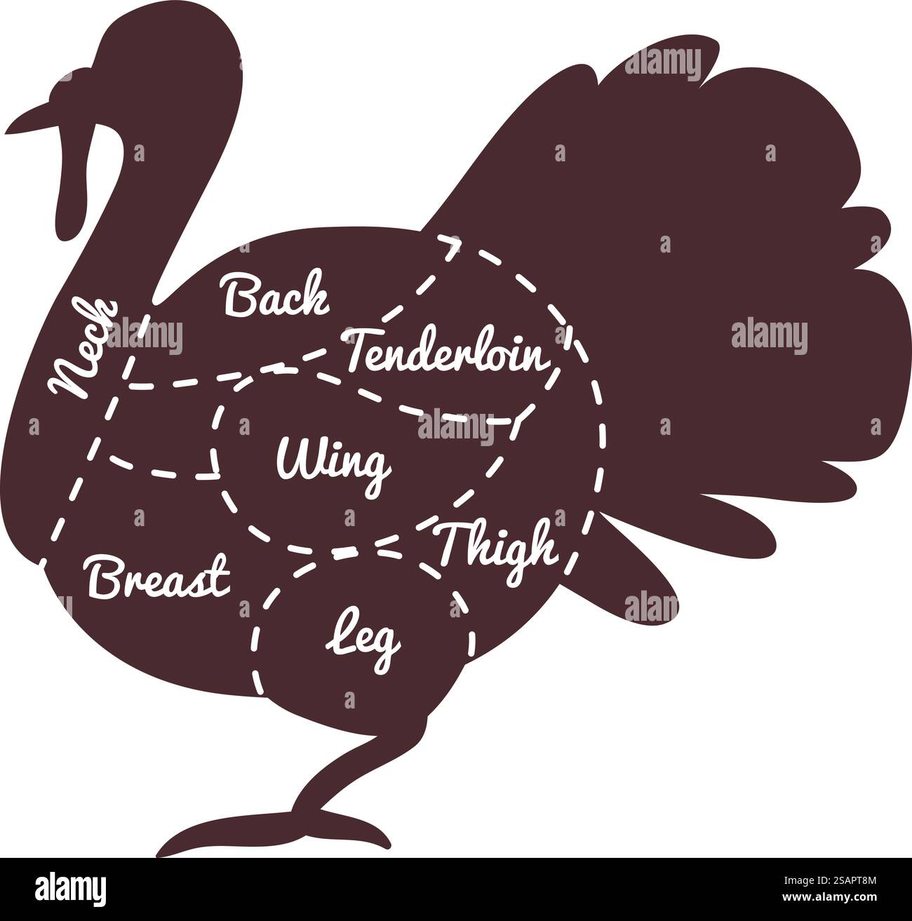 Turkey butcher diagram. Poultry meat cut guide isolated on white ...