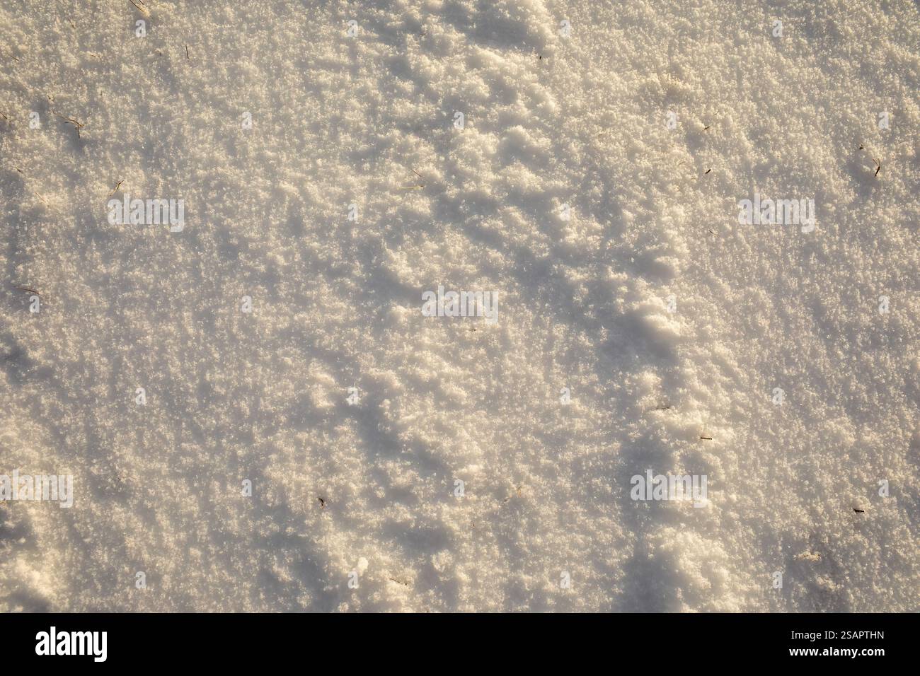 Surface of pure white snow. High quality photo Stock Photo - Alamy