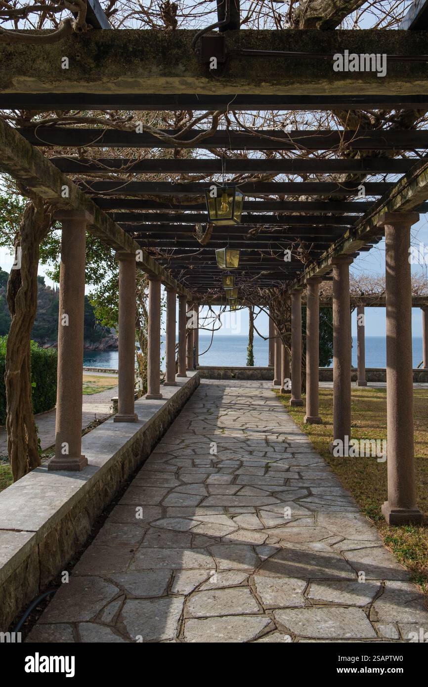 Scenic Pergola Walkway with Columns, Covered in Grape Vines and Hanging ...