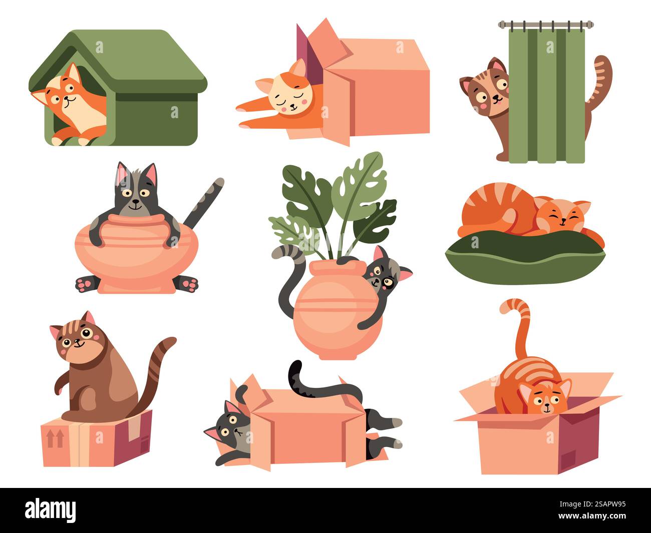 Cute cat hiding. Funny domestic cat faces with curious emotion, funny ...