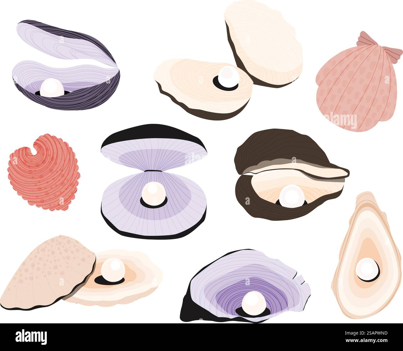 Sea shell with pearl. Cartoon shellfish nacre decoration, luxury ...