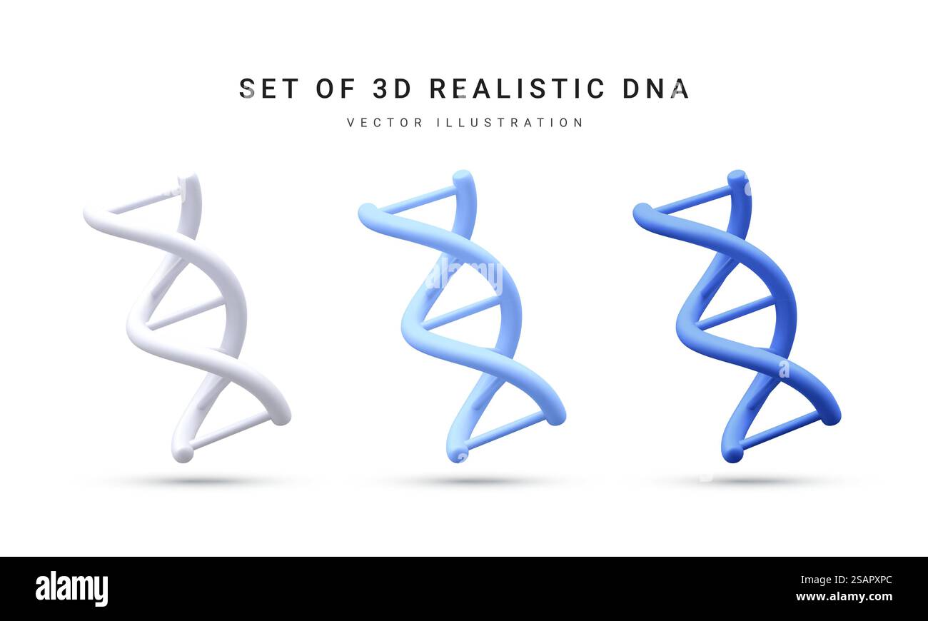 Set of 3d realistic medical spiral genetic dna for molecular chemistry ...