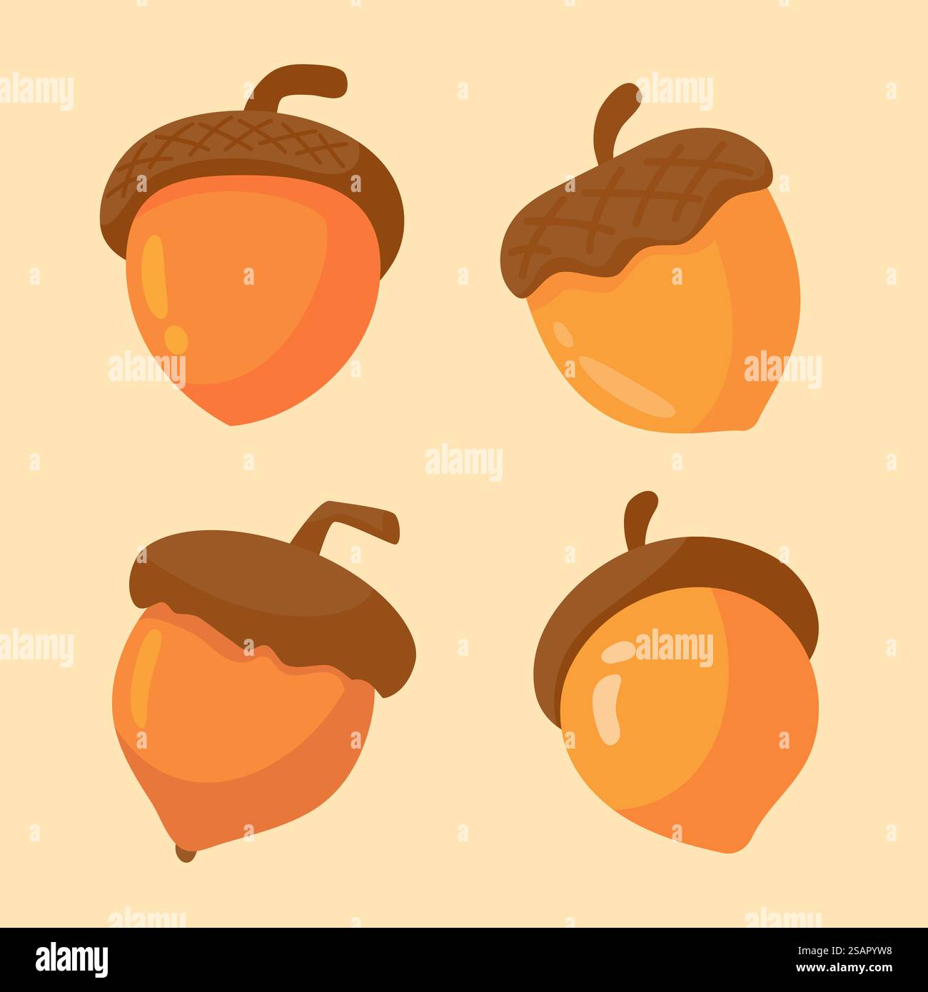 Autumn acorn leaves Stock Vector Images - Alamy