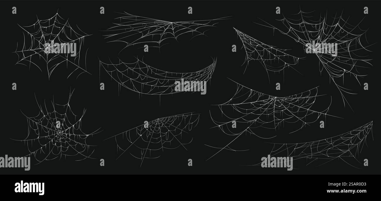 Realistic spider web. Scary cobwebs. Isolated insect nets. Horror ...