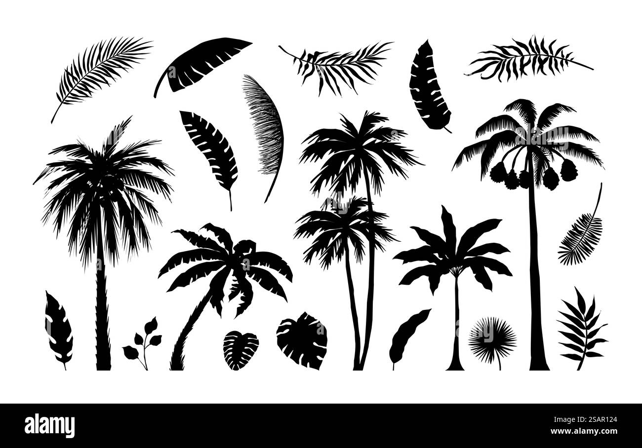 Palm silhouette. Exotic jungle foliage. Tropical trees and branches ...