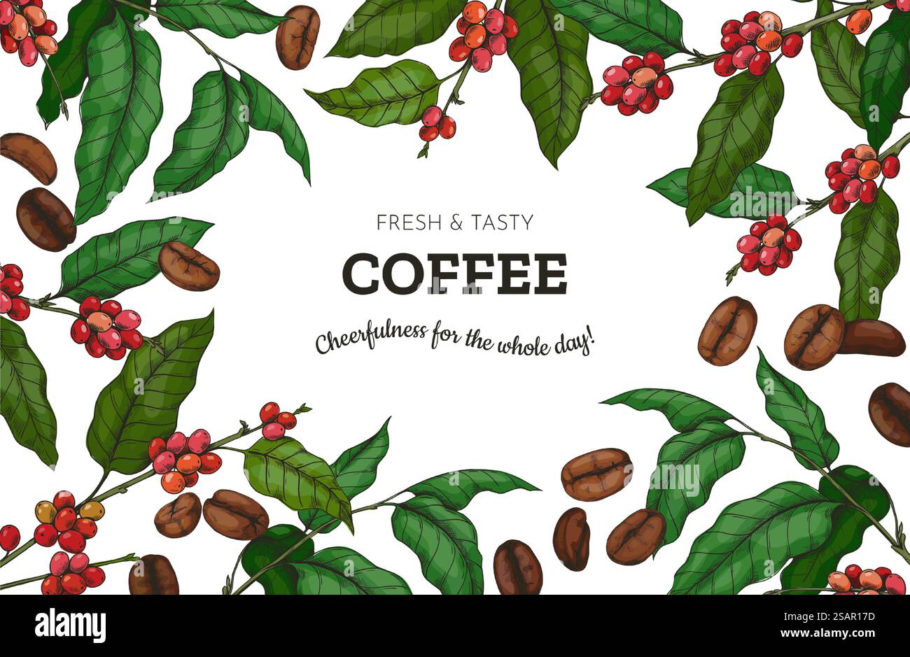 Coffee beans engraved background. Hand drawn tree branches with leaves ...
