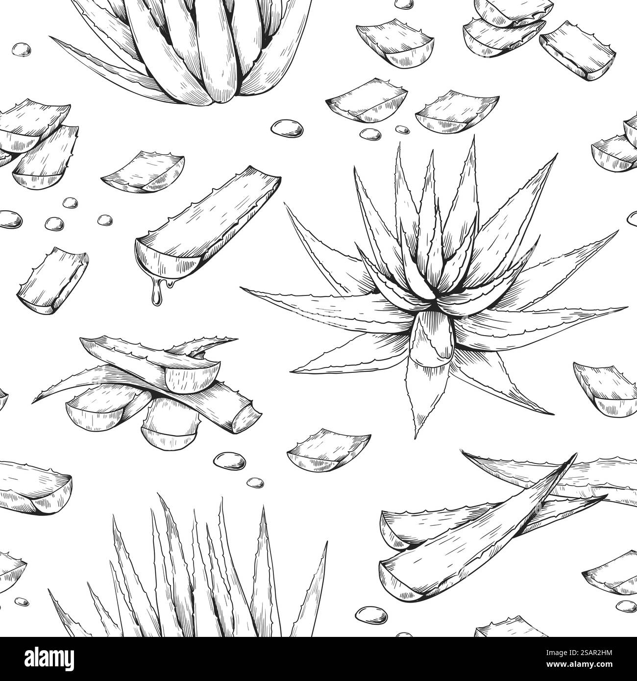Aloe Vera pattern. Hand drawn seamless print with desert succulent ...