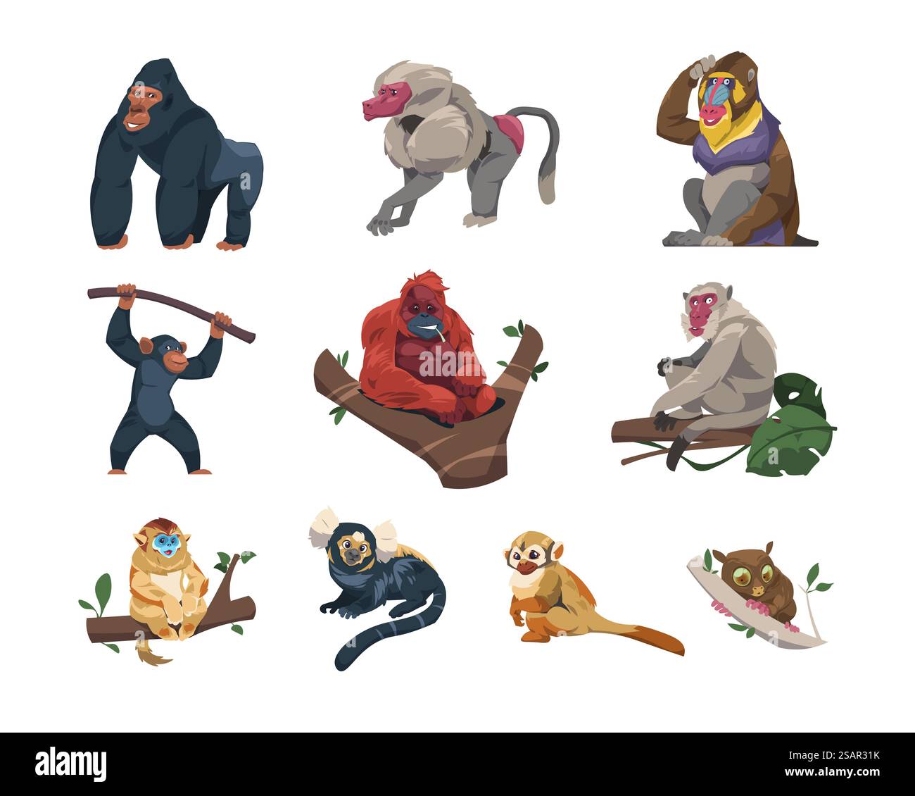 Monkeys collection. Cartoon ape characters in different poses, species and breeds of ...