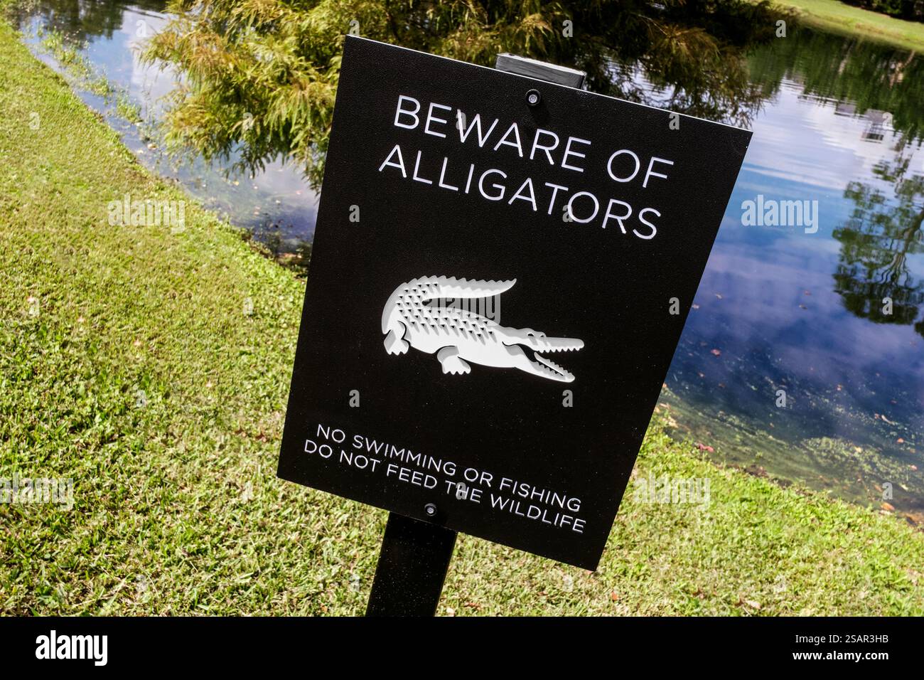 Beware of Alligators' sign near pond Stock Photo - Alamy
