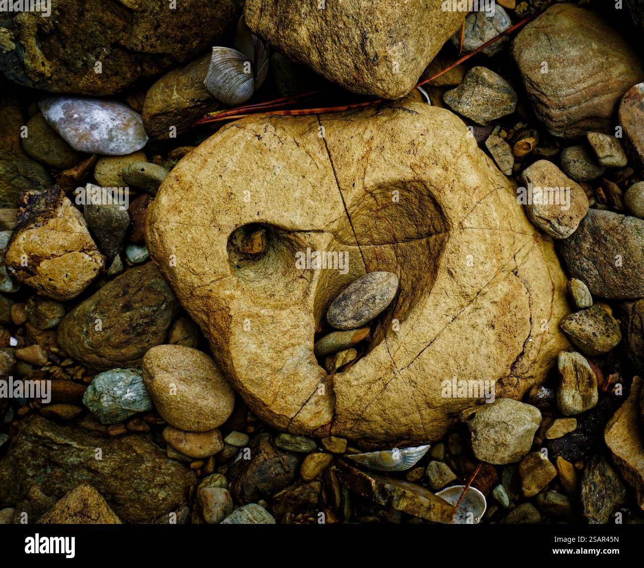 A tear shaped hollow being worn in a rock by smaller stones and gravel ...