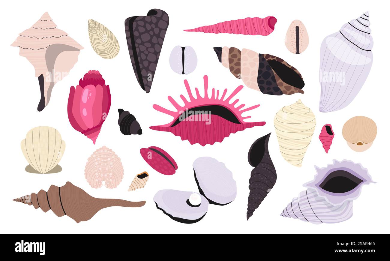 Seashell collection. Cartoon shellfish and coral, summer beach and ...