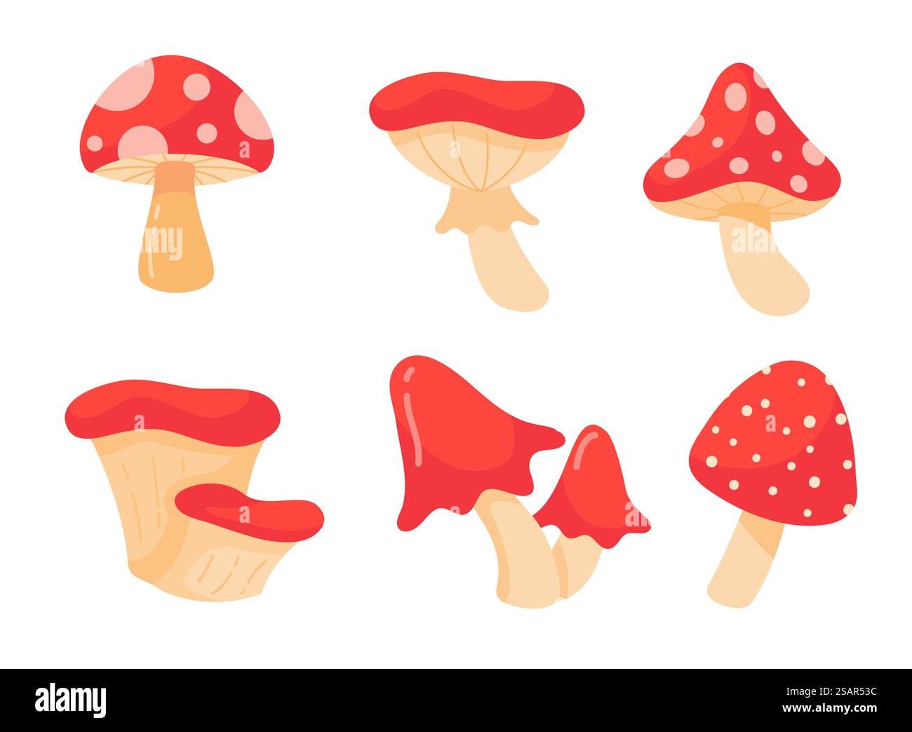 Forest fungi Cut Out Stock Images & Pictures - Alamy