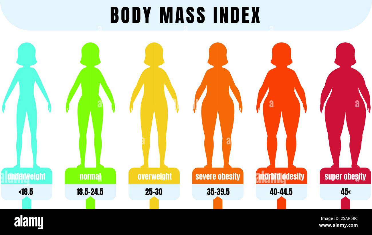 Woman BMI. Body mass index infographic for people with obesity and ...