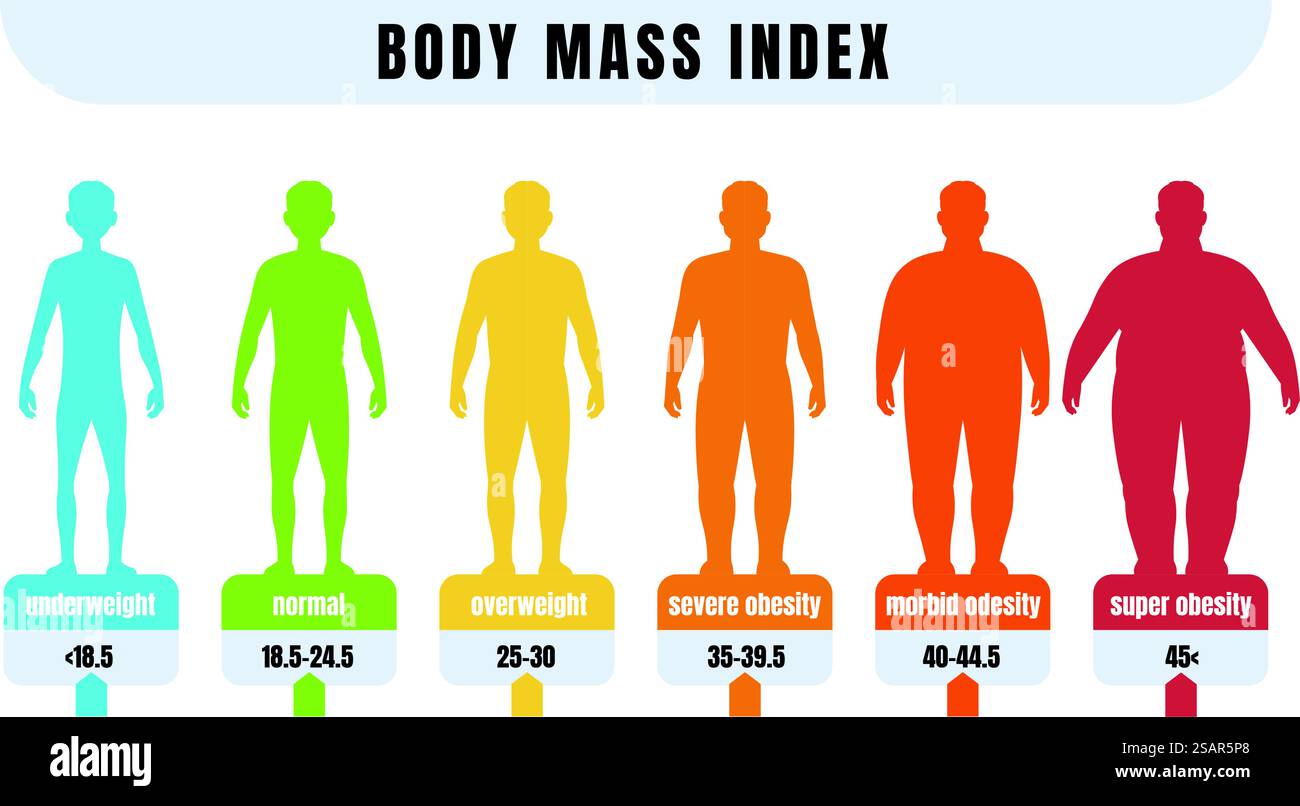 Man BMI. Body mass index infographics for male with normal weight and ...