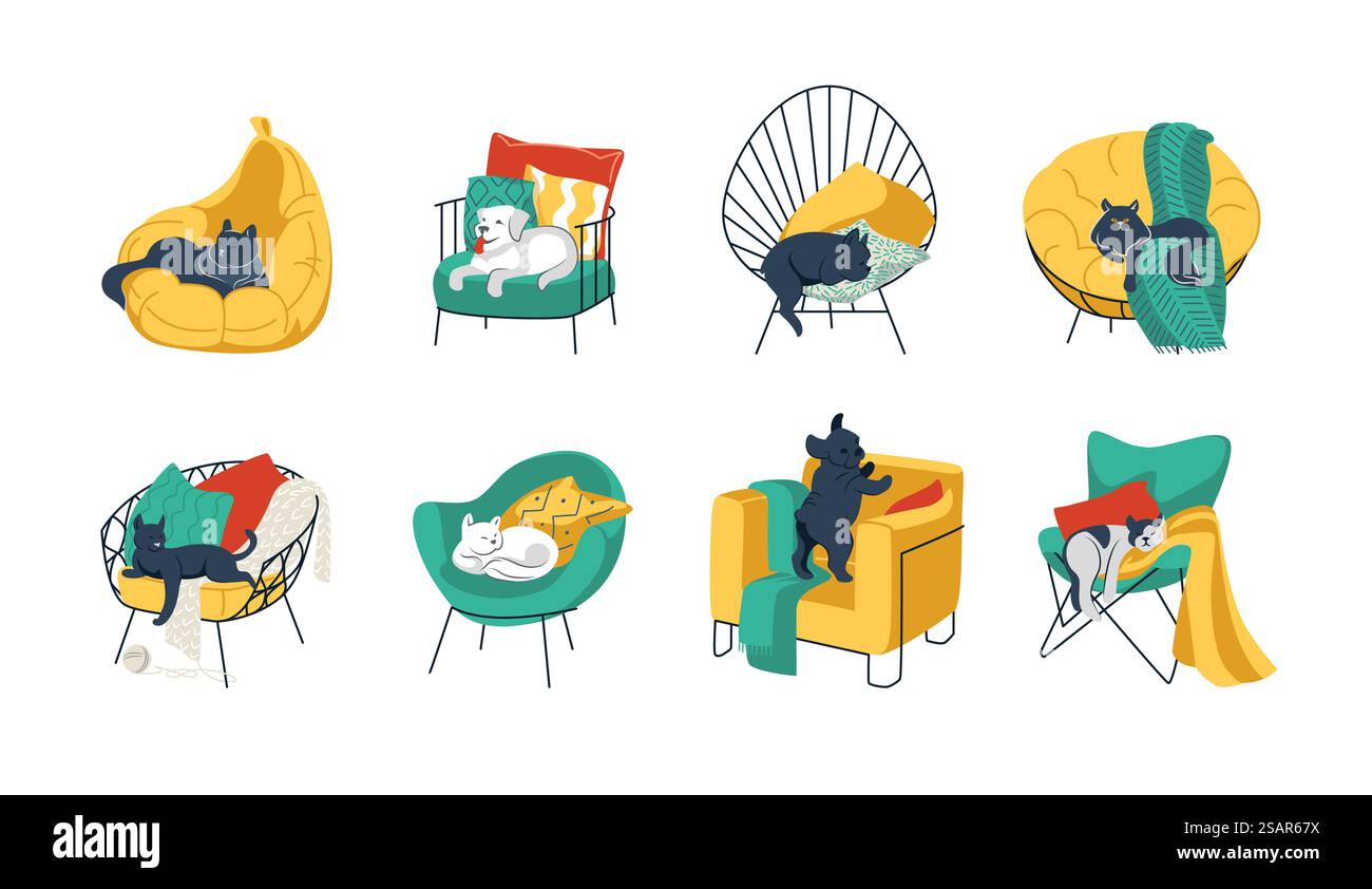 Dog sleeping on armchair Cut Out Stock Images & Pictures - Alamy