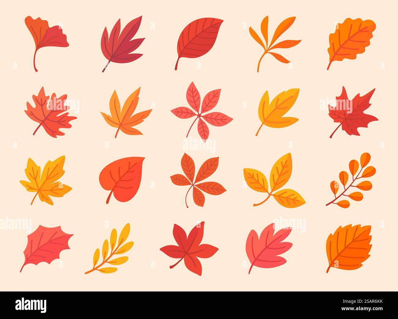 Hand drawn autumn leave Stock Vector Images - Alamy