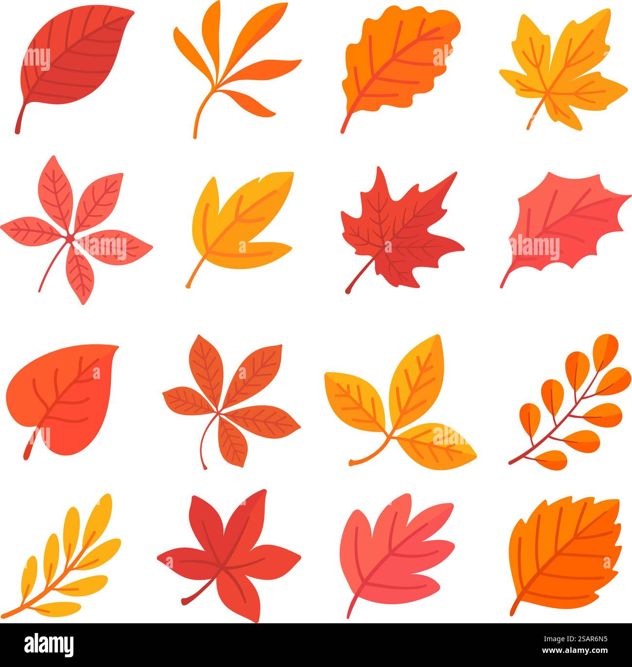 Autumn leaf collection Orange maple leaves in autumn simple design ...