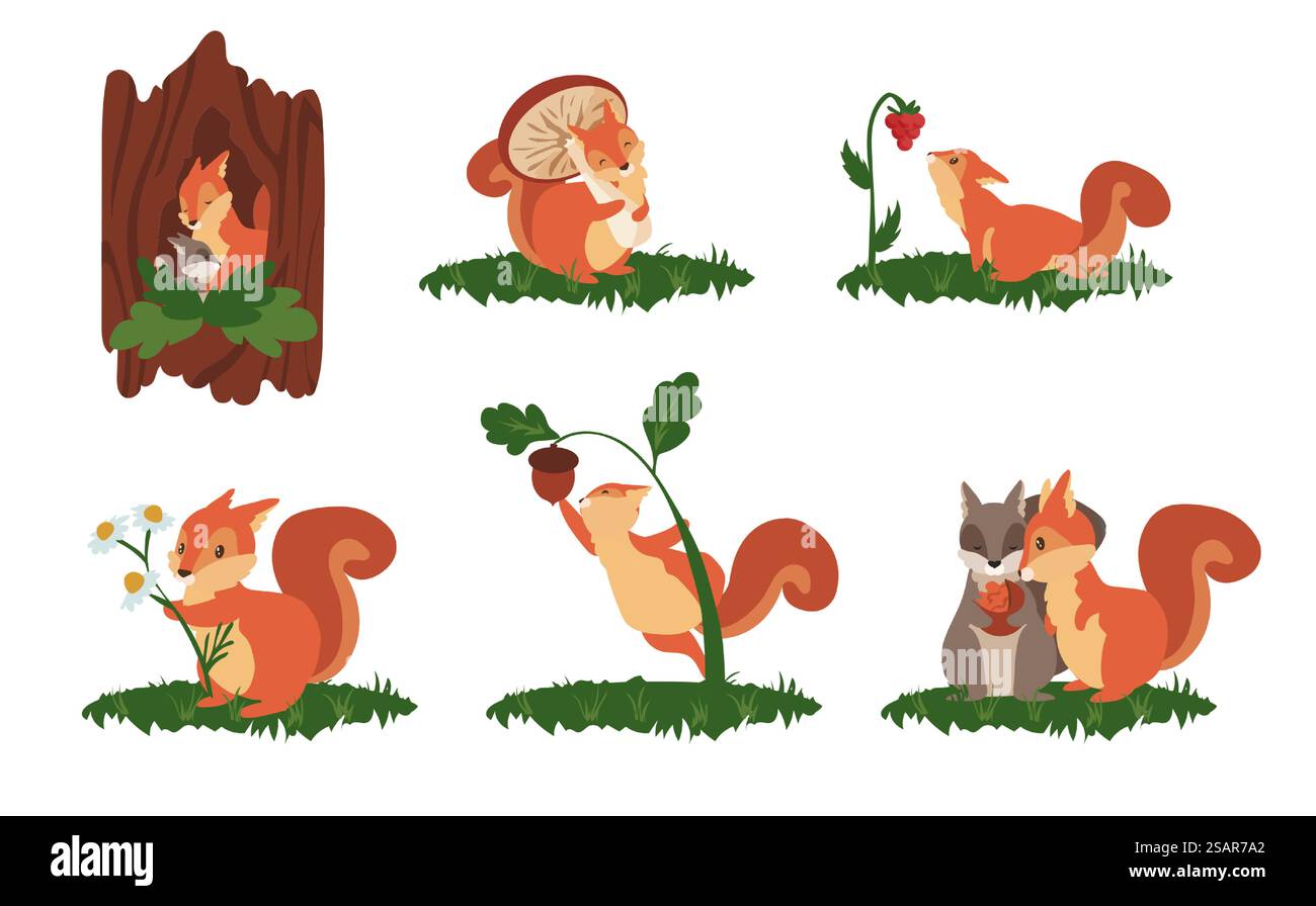 Cartoon squirrel scenes. Cute wild animal in different poses, jump play ...