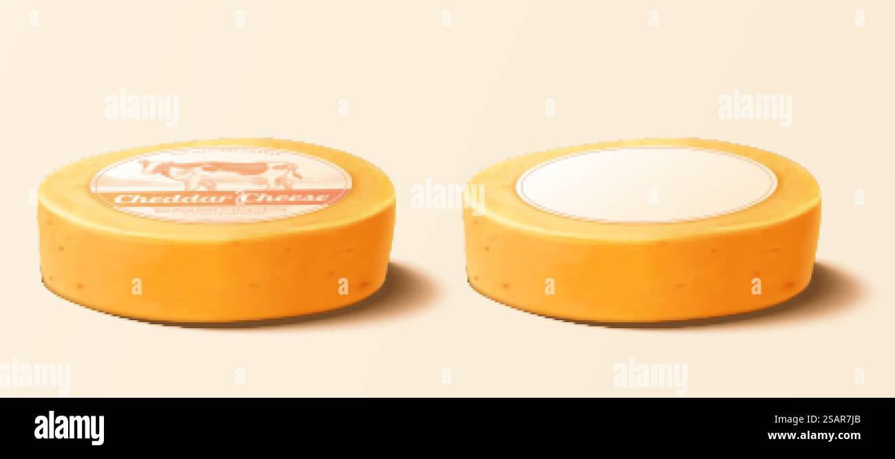 3d cheese wheels with labels for branding and packaging design. Dairy ...