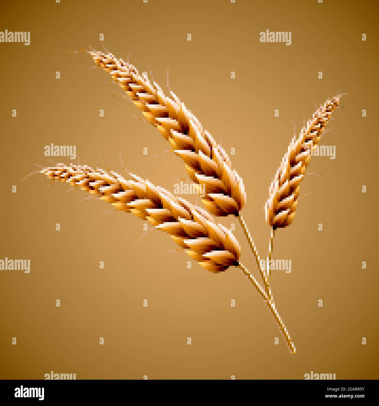 Closeup paddy Stock Vector Images - Alamy