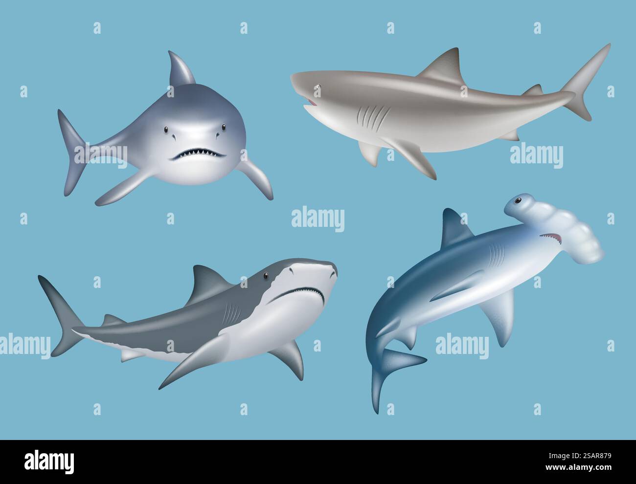 Realistic shark. Angry agressive wild underwater fauna antarctic big ...