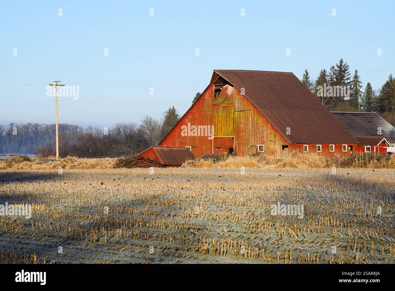Stanwood, WA, USA - January 29, 2025; Classic weathered red barn on ...