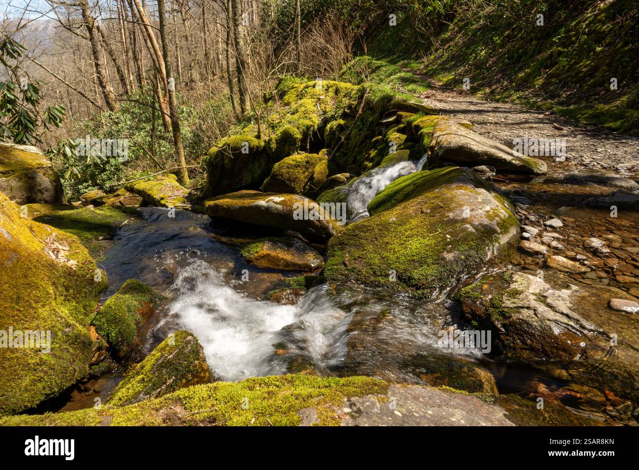 Water in Creek Rushes Over Snake Den Ridge Trail in the Smokies Stock ...