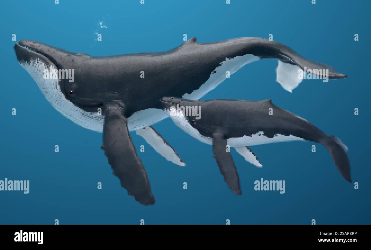 Humpback whale family swimming together hi-res stock photography and ...