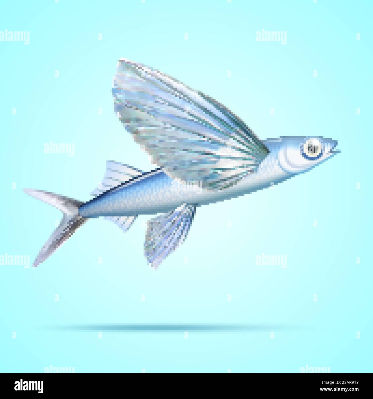 Silver flying fish isolated on light blue background. Flying fish element Stock Vector Image ...