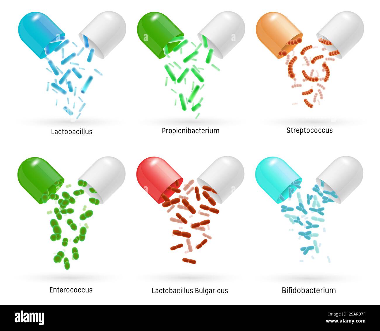 Probiotics pills set vector isolated illustration. Lactobacillus, propionibacterium ...