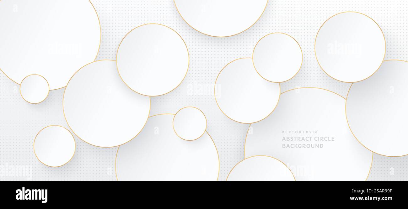 Modern luxury white and grey gradient circular shape with golden line ...