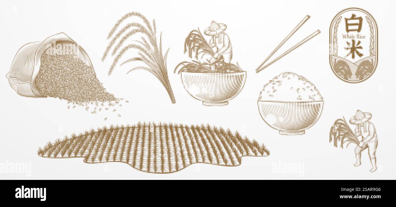 Rice farming elements designed in vintage engraving style, isolated on ...