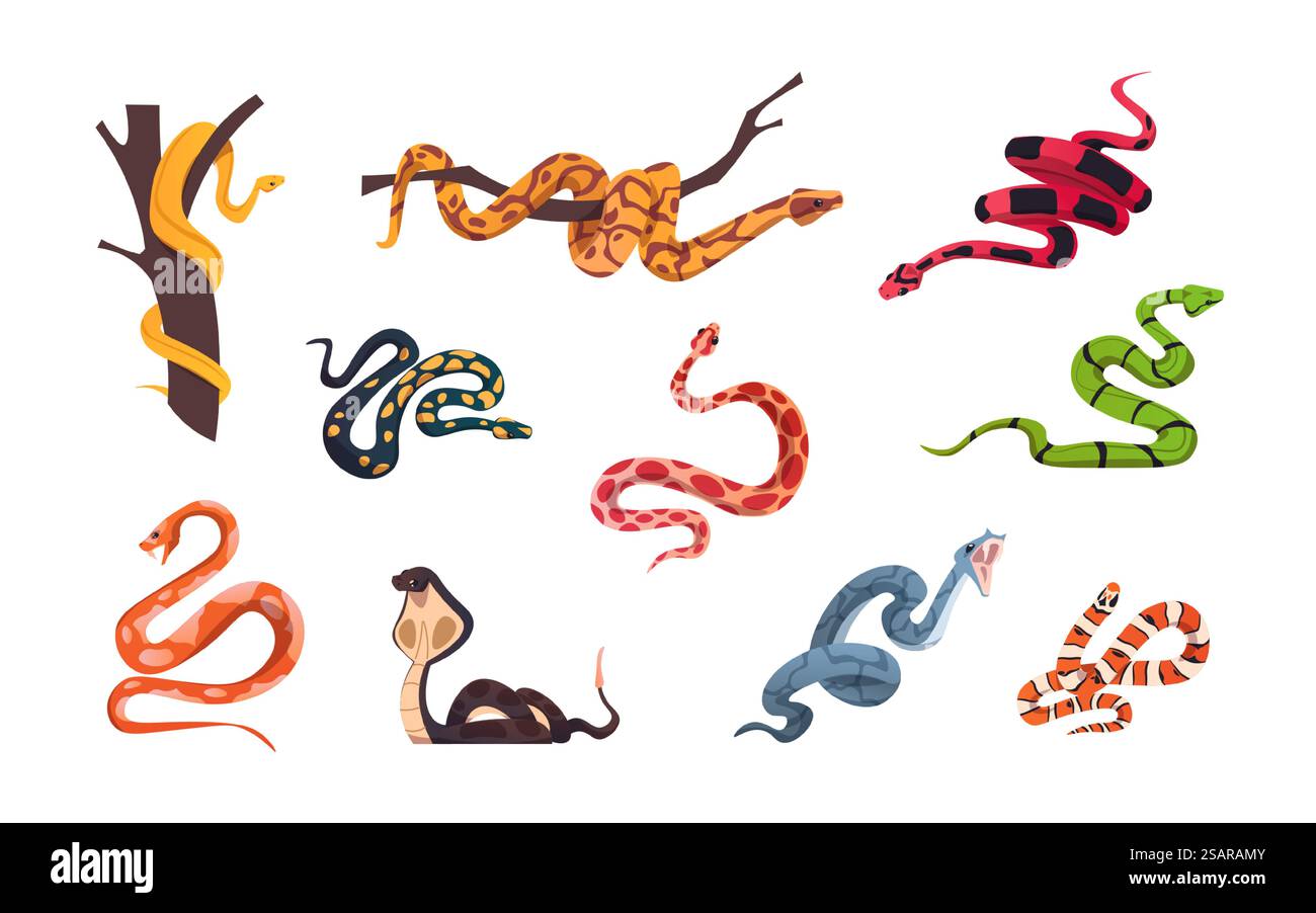 Cold blooded animal animals Stock Vector Images - Alamy