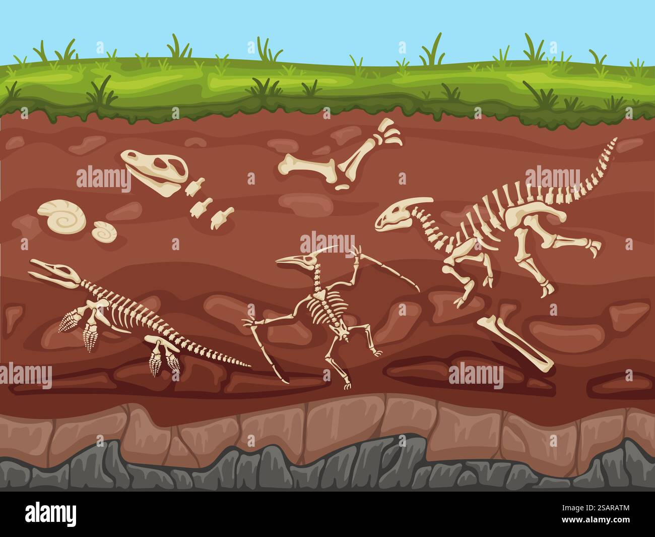 Paleontology Clipart Bones Paleontology PNG, Vector, PSD, And Clipart
