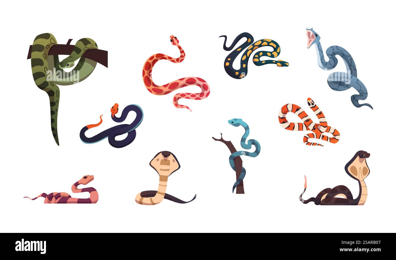 Snakes. Poison reptiles collection. Cartoon wild nature cold-blooded ...