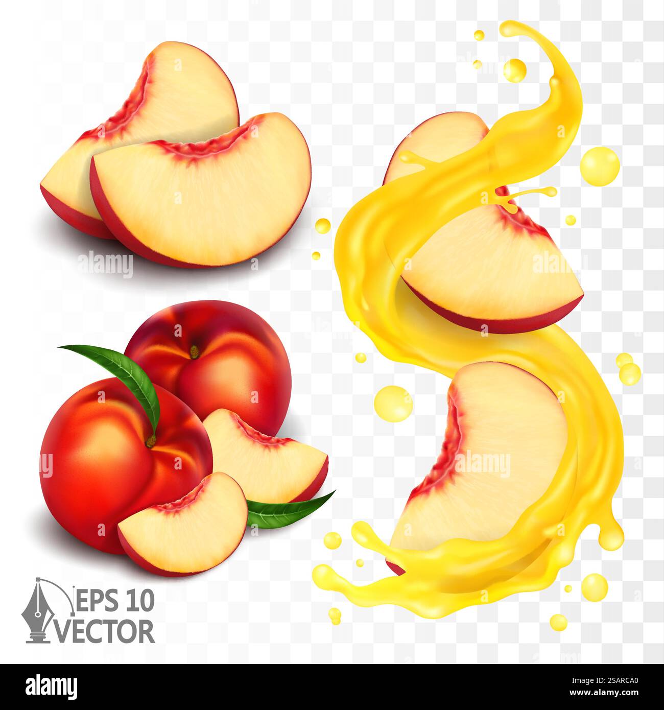Nectarine, peach, fruit collection. Set with slice and splash, swirl transparent, fresh vitemine ...