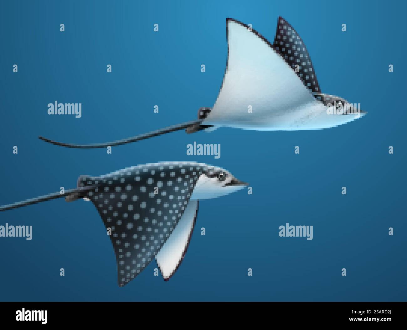 Realistic stingrays flapping their sides under deep water, 3d illustration. Realistic stingray ...