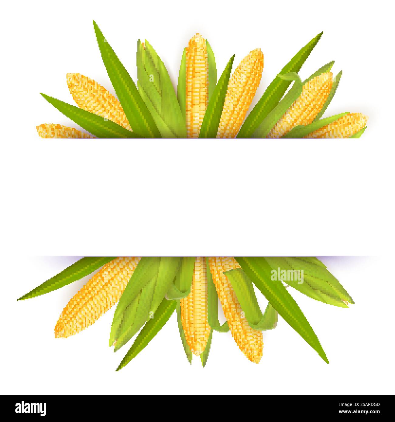 Corn frame template, vector realistic illustration. Label for packaging ...
