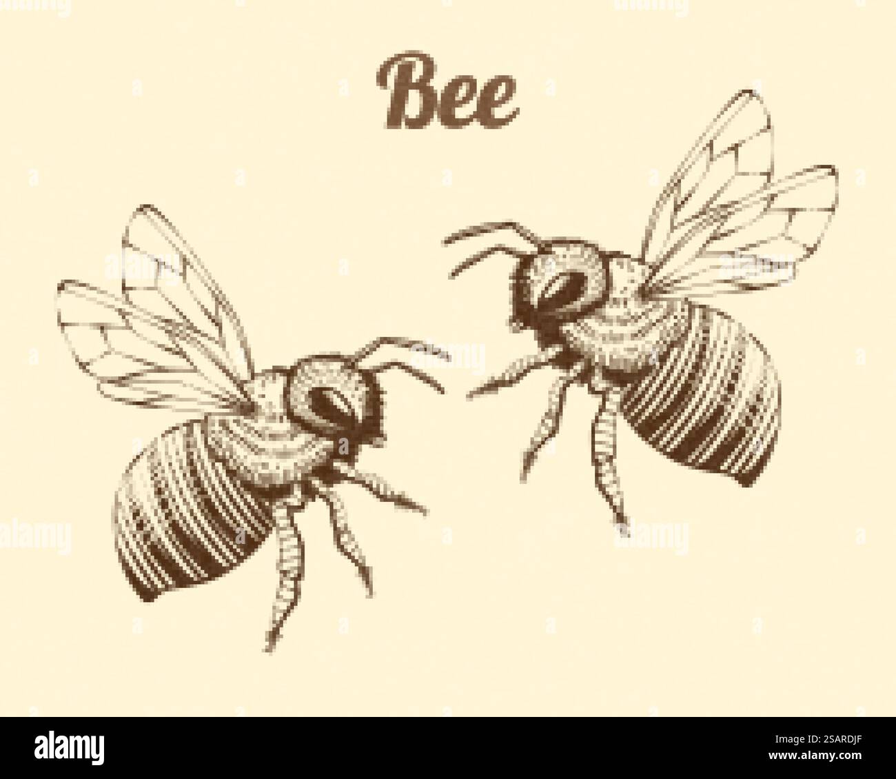 Antique nature drawing Stock Vector Images - Alamy