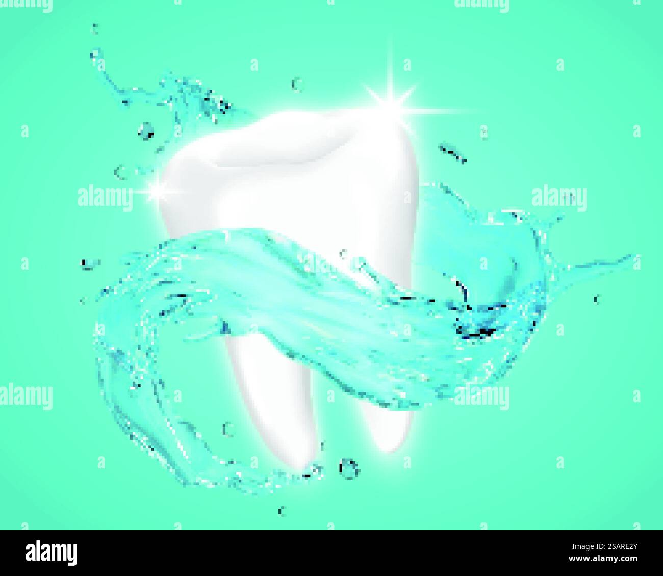 Tooth enamel human Stock Vector Images - Alamy