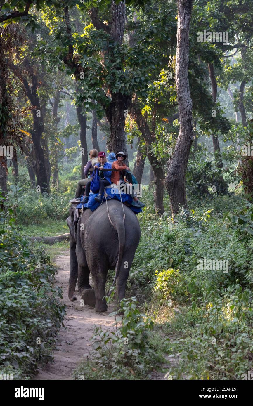 Riding elephants which are treated humanely in Chitwan National Park ...